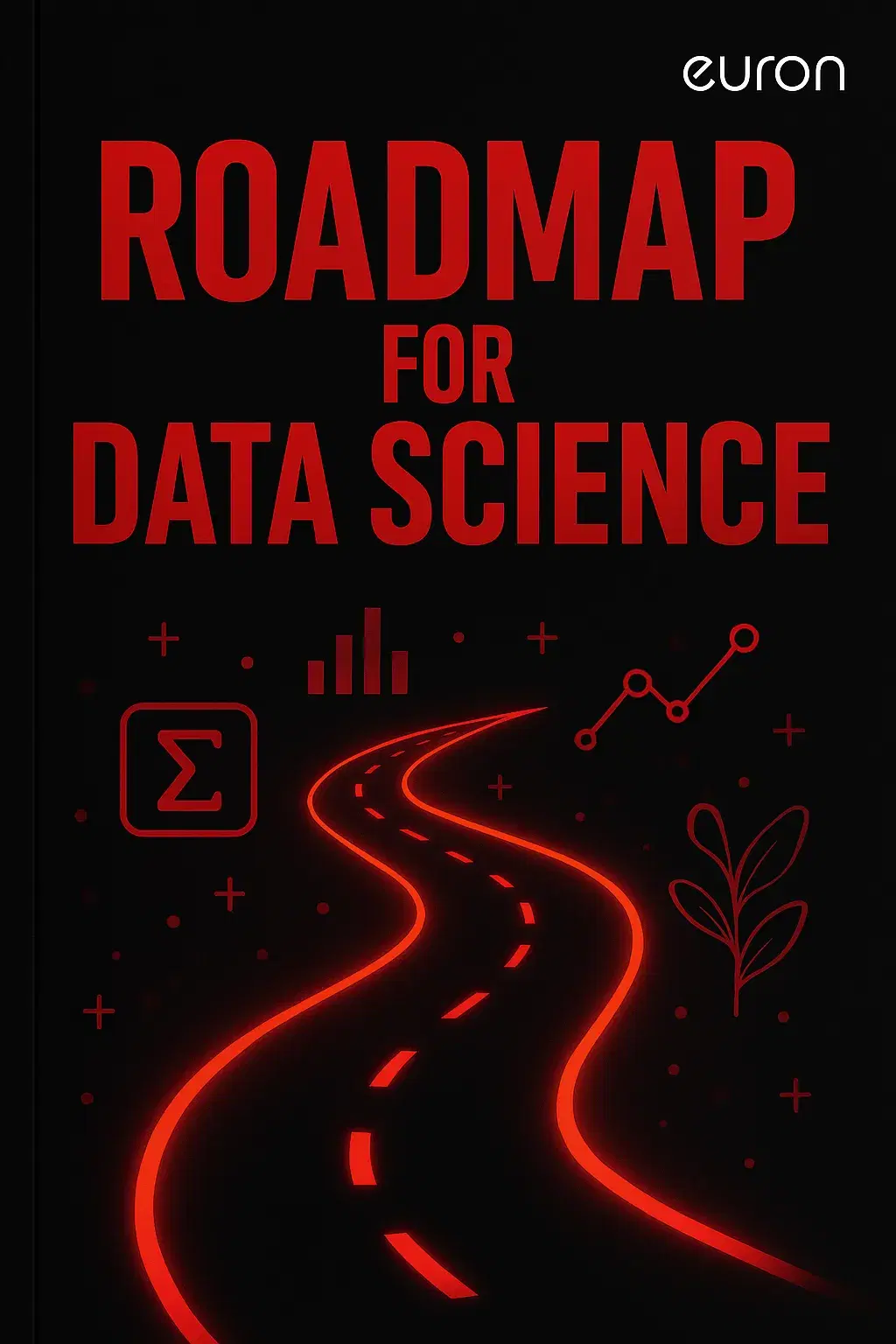 Roadmap for Data Science Euron